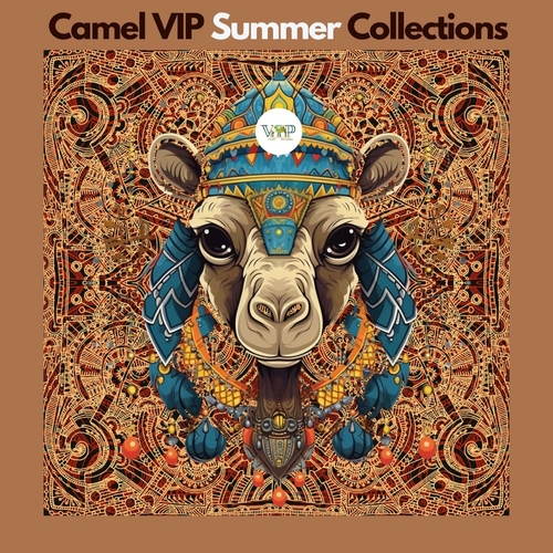 Download VA – Camel VIP Summer Collections [CVIP170] - DJ Sound Top