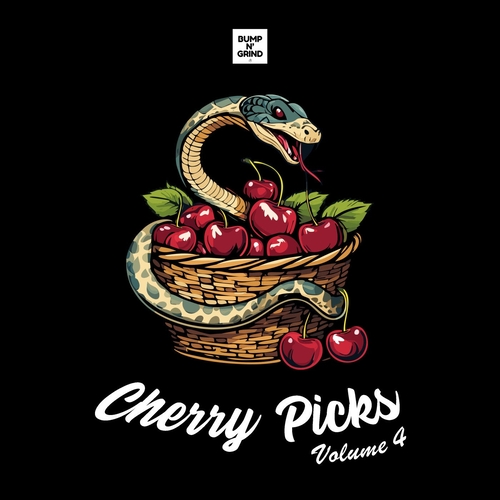 Download VA – Cherry Picks Volume 4. [BNG093] - DJ Sound Top