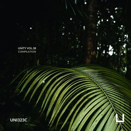 Download VA – Unity Vol.38 Compilation [UNI323C] - DJ Sound Top