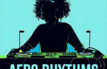 Download VA - Ballon Room Vol. 13 [BR13] - DJ Sound Top