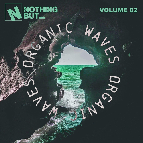 Download VA – Nothing But… Organic Waves, Vol. 02 [NBORGANICW02] - DJ ...
